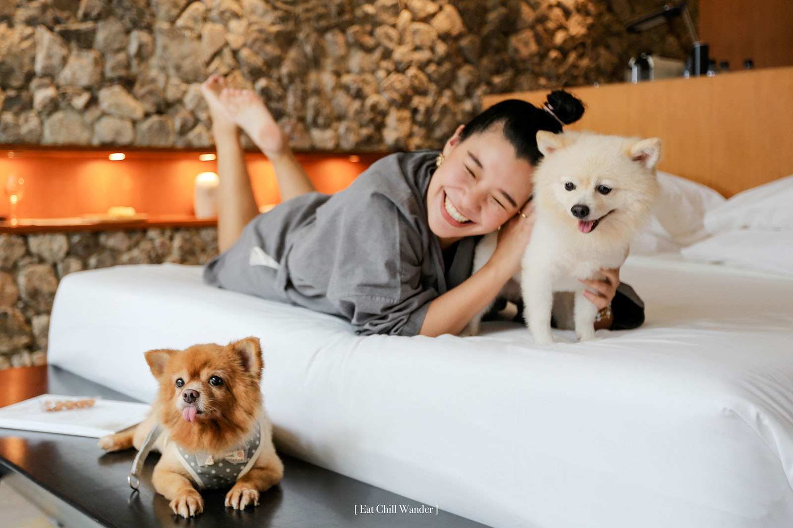 [รีวิว] X2 Kui Buri Resort ครอสทู กุยบุรี รีสอร์ทที่พาน้องหมา-น้องแมว ...