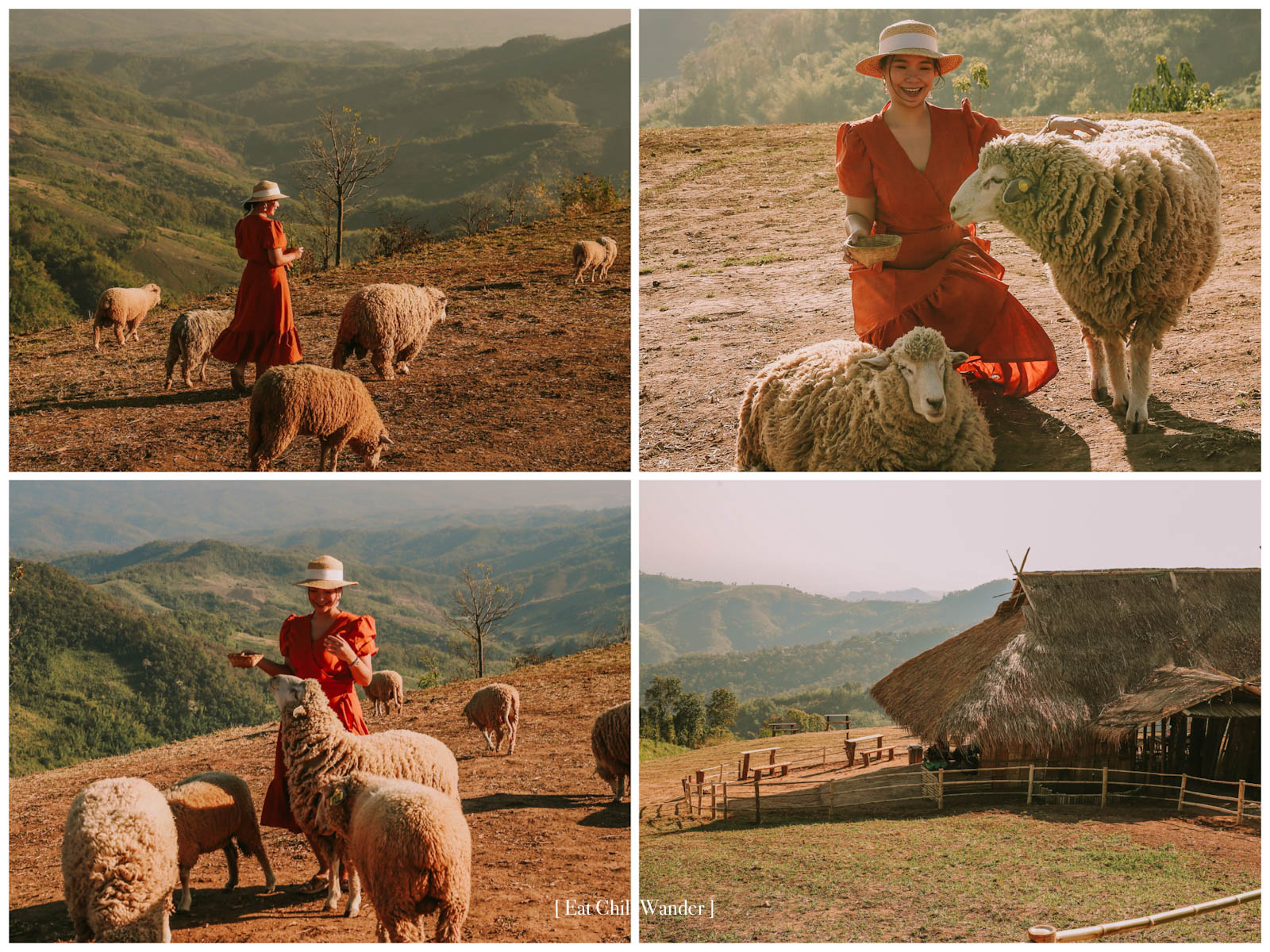 รีวิวพาเที่ยว 2 เส้นทางฮิตจังหวัดเชียงราย "ดอยช้าง - ผาฮี้" ไปไหนบ้าง ...