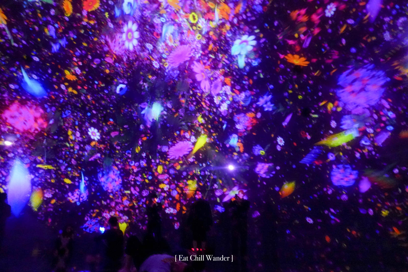[รีวิว] ทุกอย่างที่คุณควรรู้ก่อนไป teamLab Planets Tokyo ผลงานศิลปะ ...