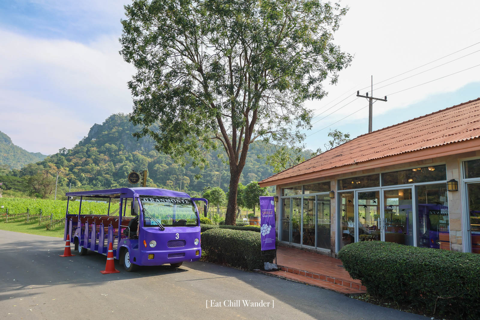 เที่ยวไร่ไวน์ GranMonte เขาใหญ่ เรียนรู้เรื่องการทำไวน์ รู้จักกับไวน์ ...