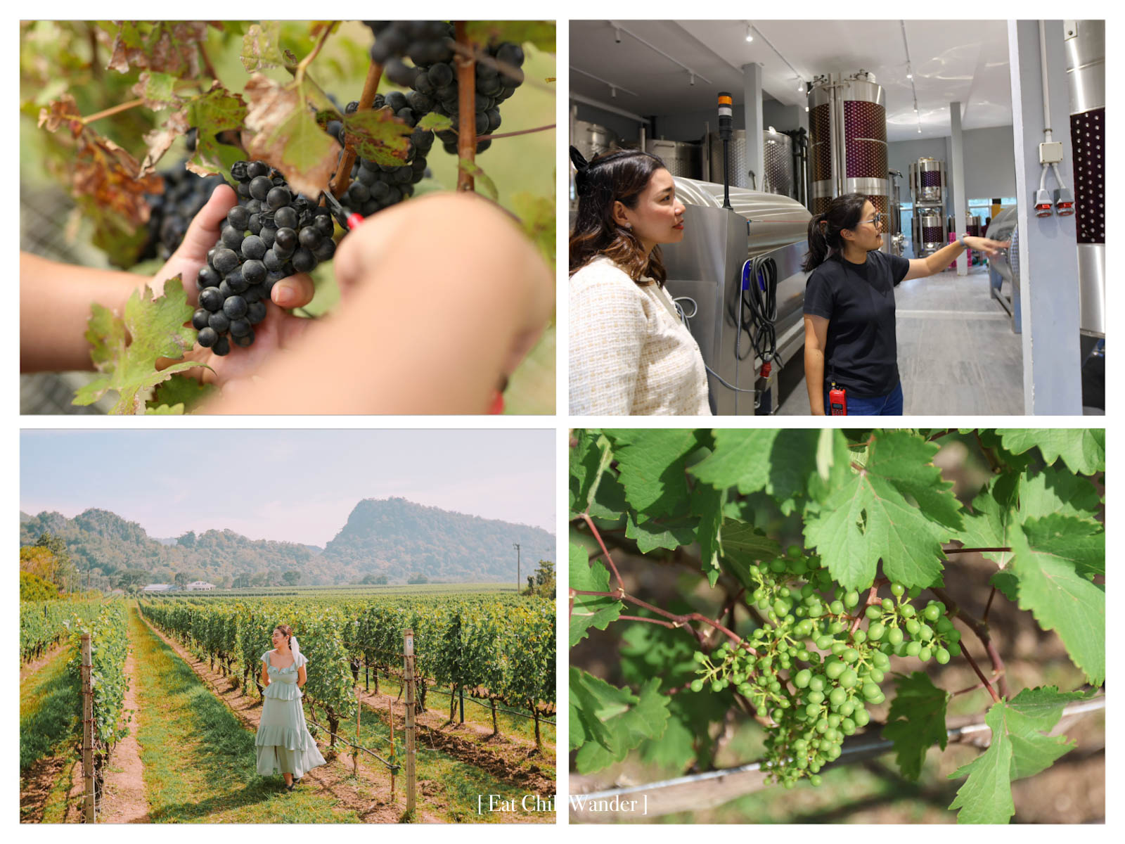 [รีวิว] GranMonte Wine Cottage ที่พักเขาใหญ่ พักผ่อนในไร่ไวน์ บรรยากาศ ...