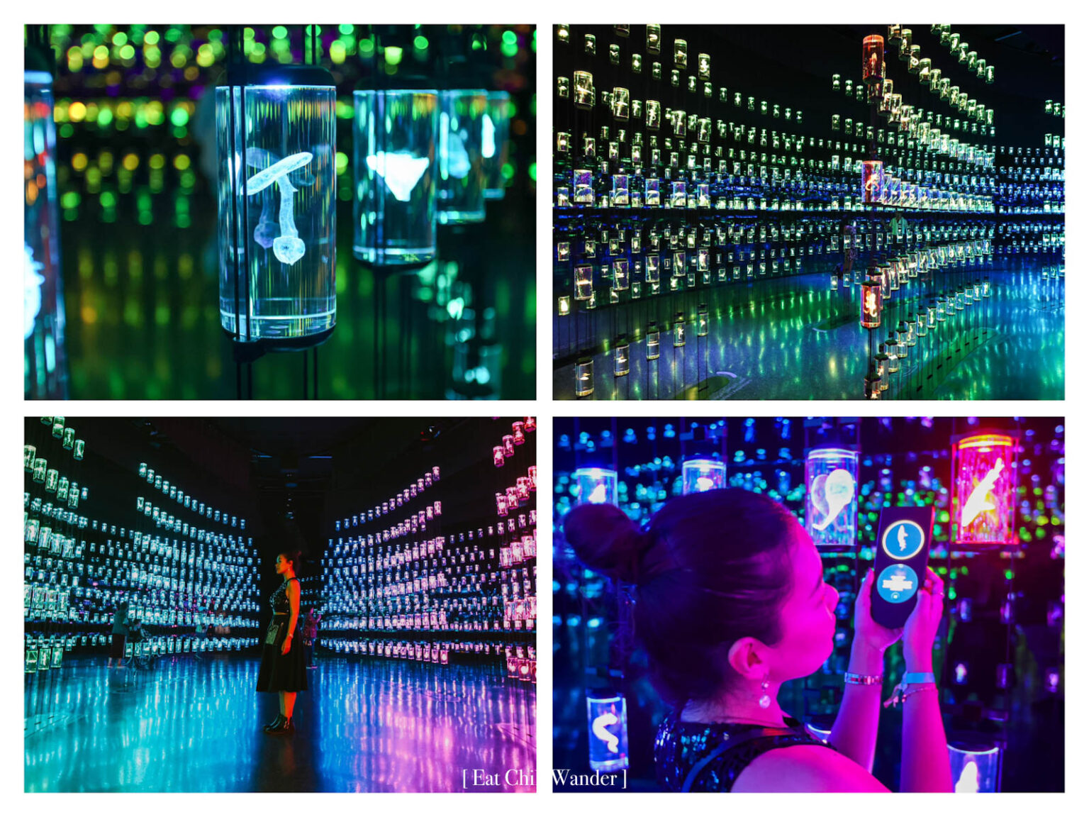 [รีวิว] เที่ยว Museum of The Future พิพิธภัณฑ์แห่งอนาคตที่ดูไบ ที่ล้ำใน ...