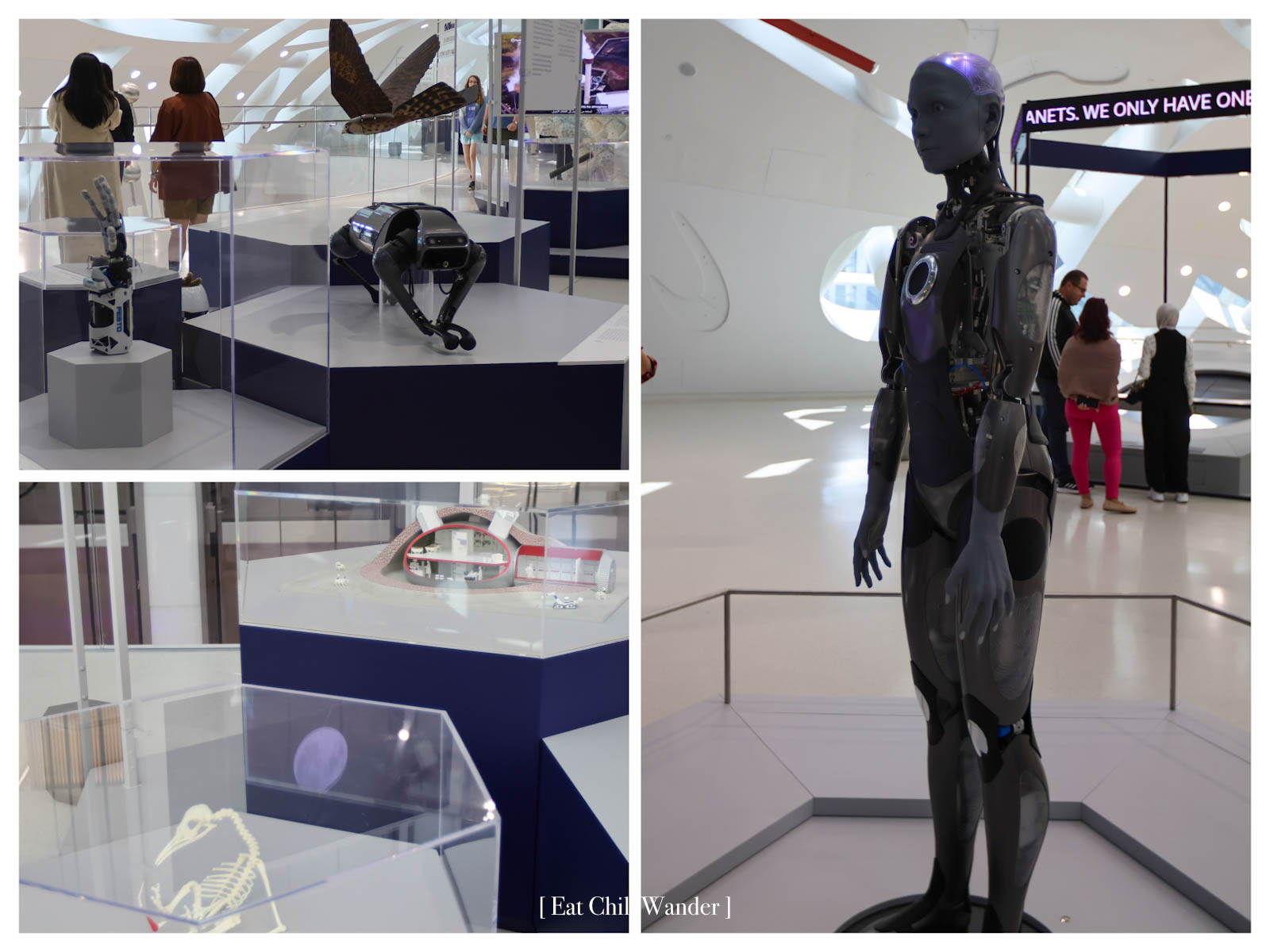 [รีวิว] เที่ยว Museum of The Future พิพิธภัณฑ์แห่งอนาคตที่ดูไบ ที่ล้ำใน ...